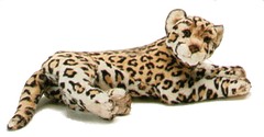 tarzan leopard name